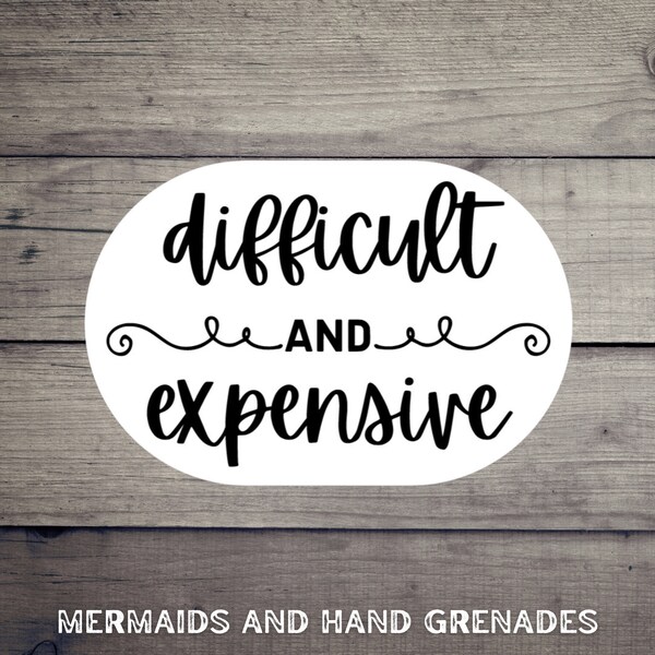 Expensive and Difficult Sticker - Etsy