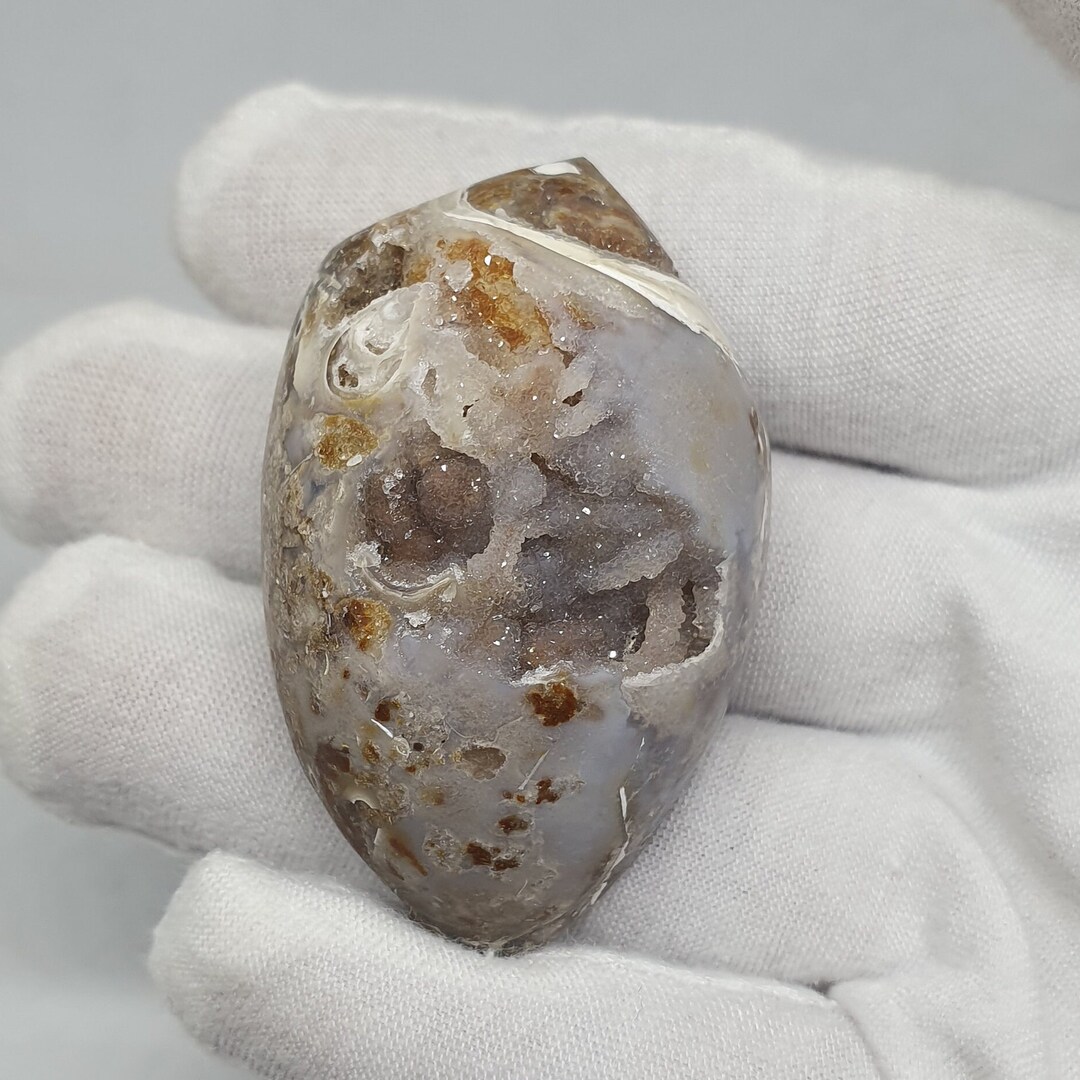 100% Natural Gastropod Fossil Shell Gemstone - Etsy