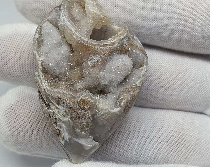 100% Natural !! Gastropod Fossil Shell Gemstone - Etsy