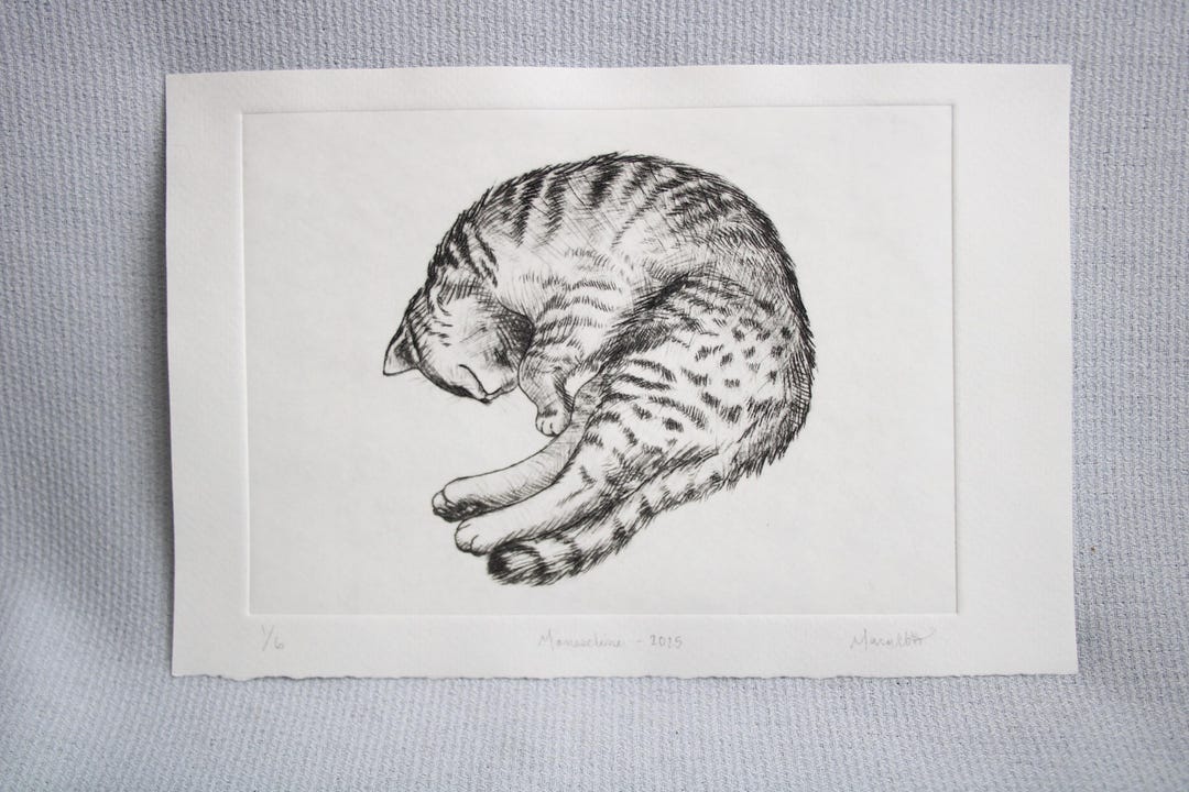 Etching Engraving of a Lying Cat in Black Ink - Kitten Print Intaglio ...