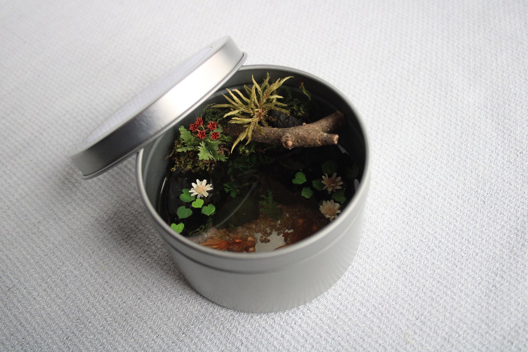 Miniature Resin Pond in Rond Tin Box With Goldfish and Plants - Pond ...