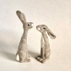 Needle Felted Hare ‘PDF’ Instructions - This is NOT a Kit - Etsy UK