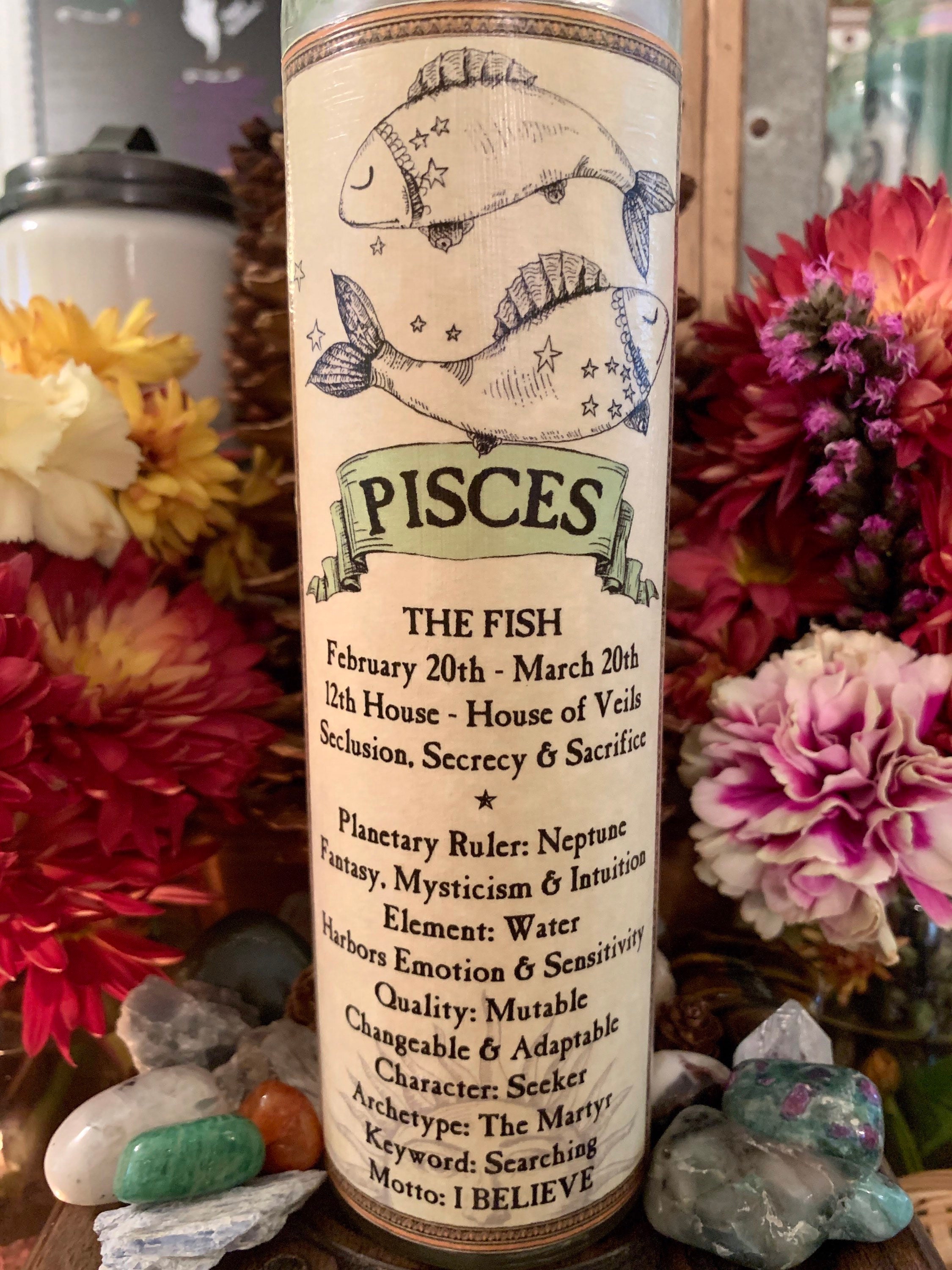 Pisces Candle Whats Your Sign Zodiac Candles | Etsy