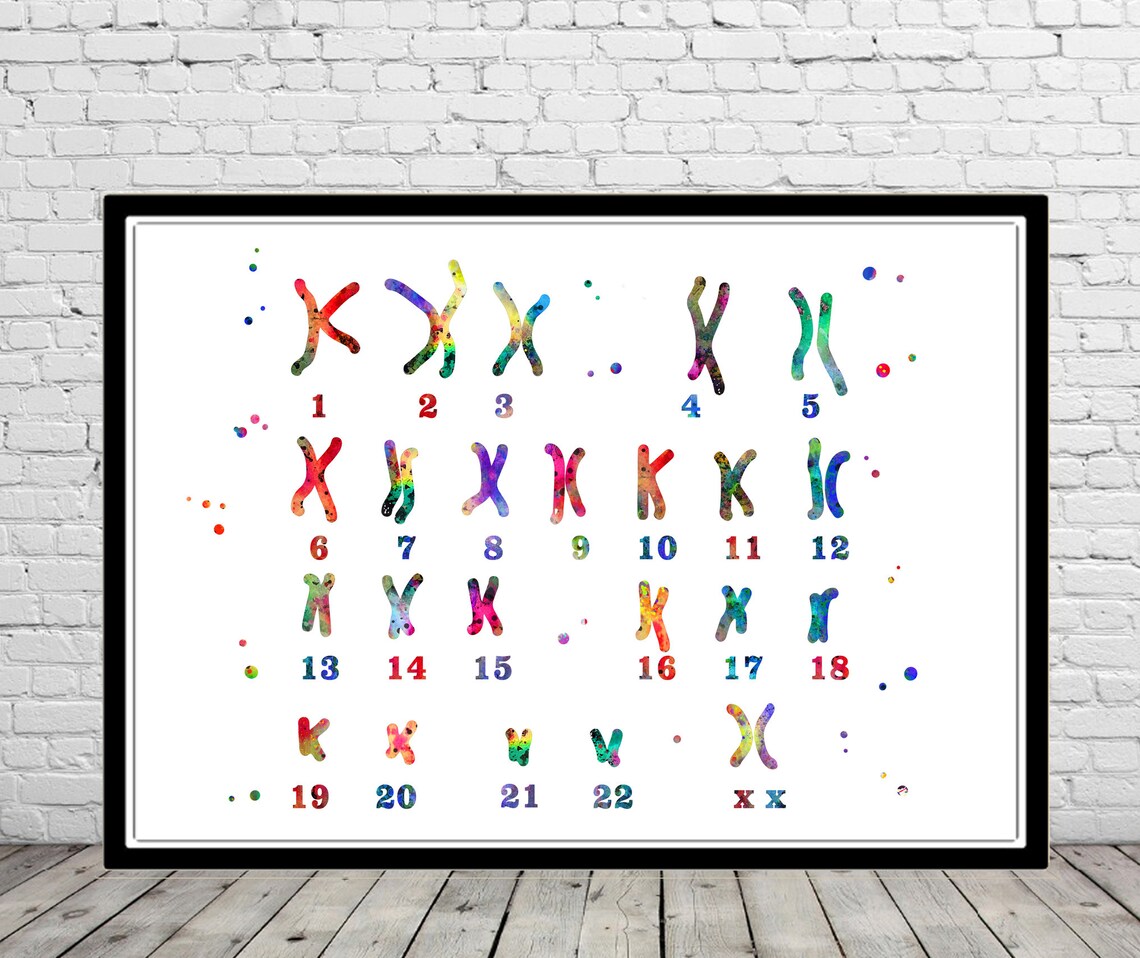 Female Chromosome Watercolor Karyotype Medical Art Nurse | Etsy