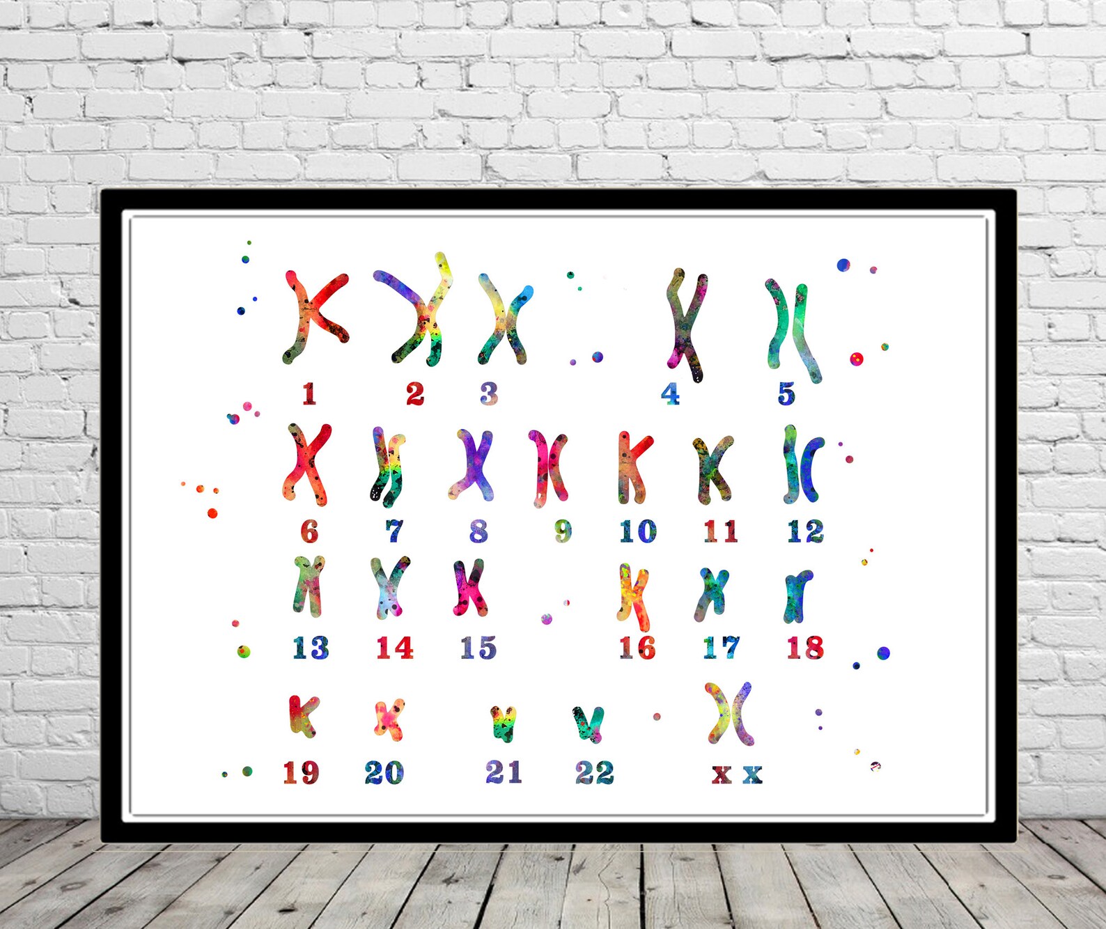 Female Chromosome Watercolor Karyotype Medical Art Nurse | Etsy