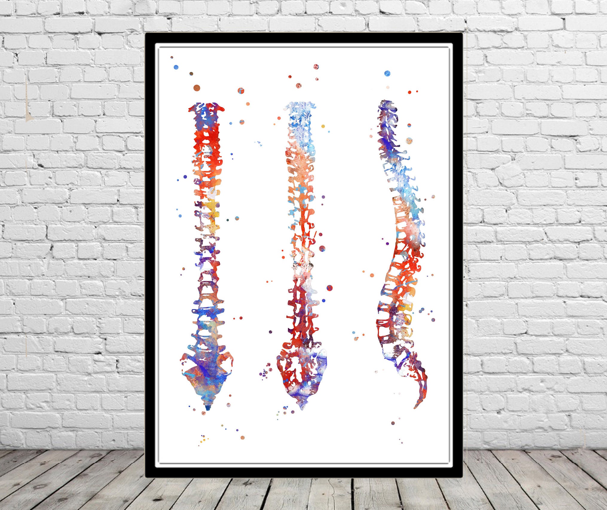 Watercolor Painting spine print anatomy art skeletal Vertebrae ...