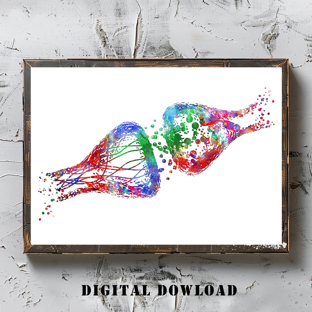Synapse Receptor Watercolor Print Medical Art Medical Office Decor ...