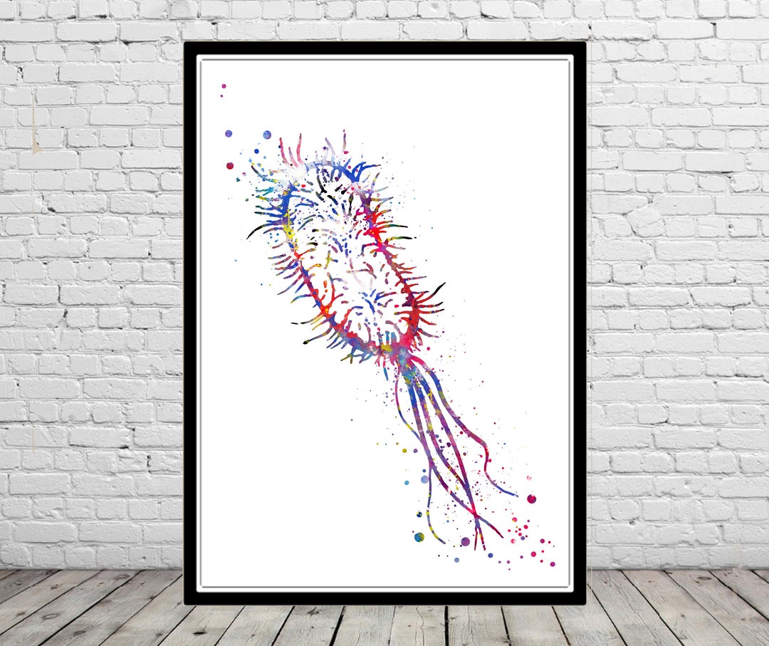 Escherichia Coli Watercolor Print E Coli Wall Art Bacteriophage Virus ...