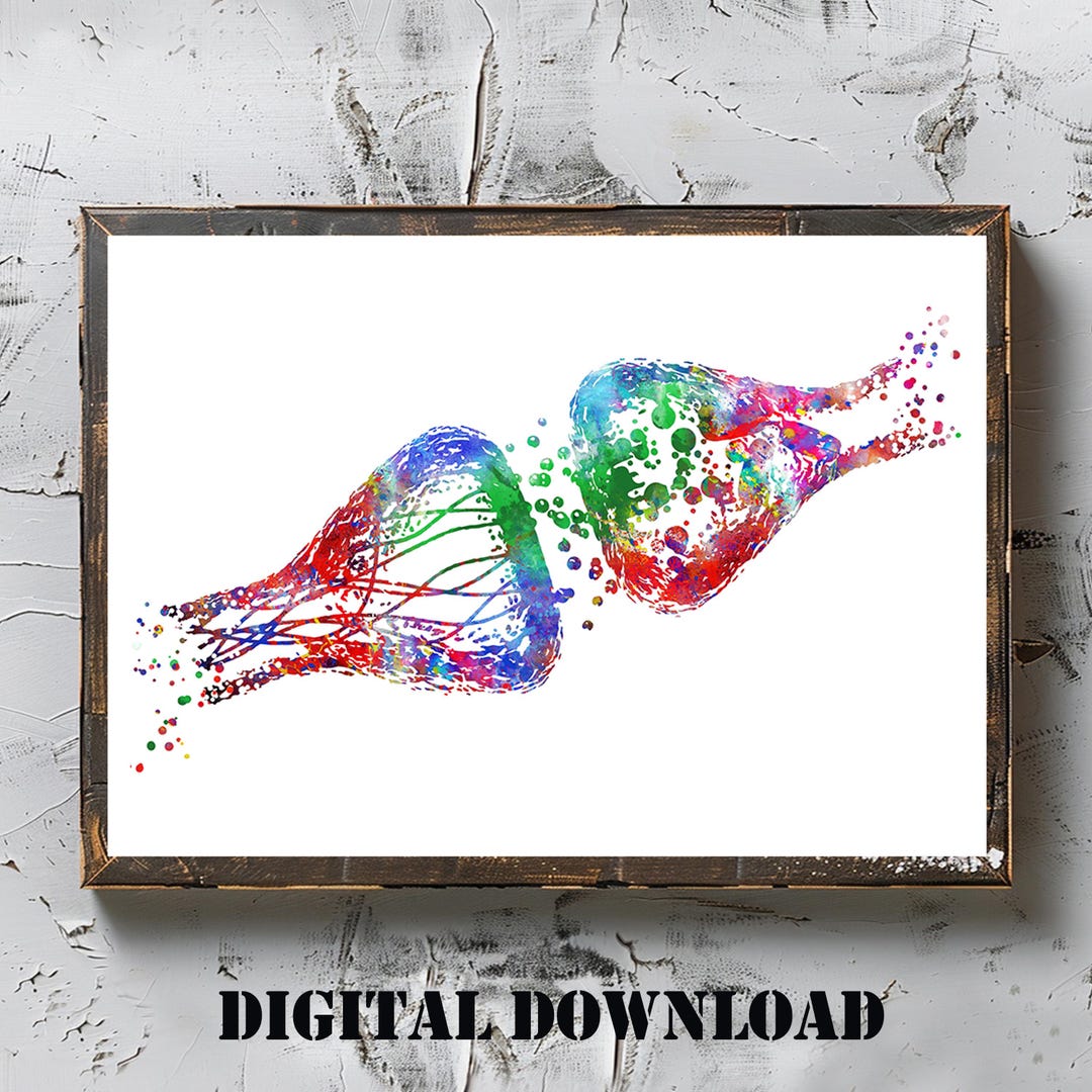 Synapse Receptor Watercolor Print Medical Art Medical Office Decor ...