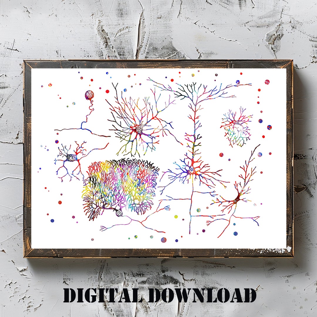 Nerve Cells Watercolor Print Medical Art Nerve Impulse Medical Office ...