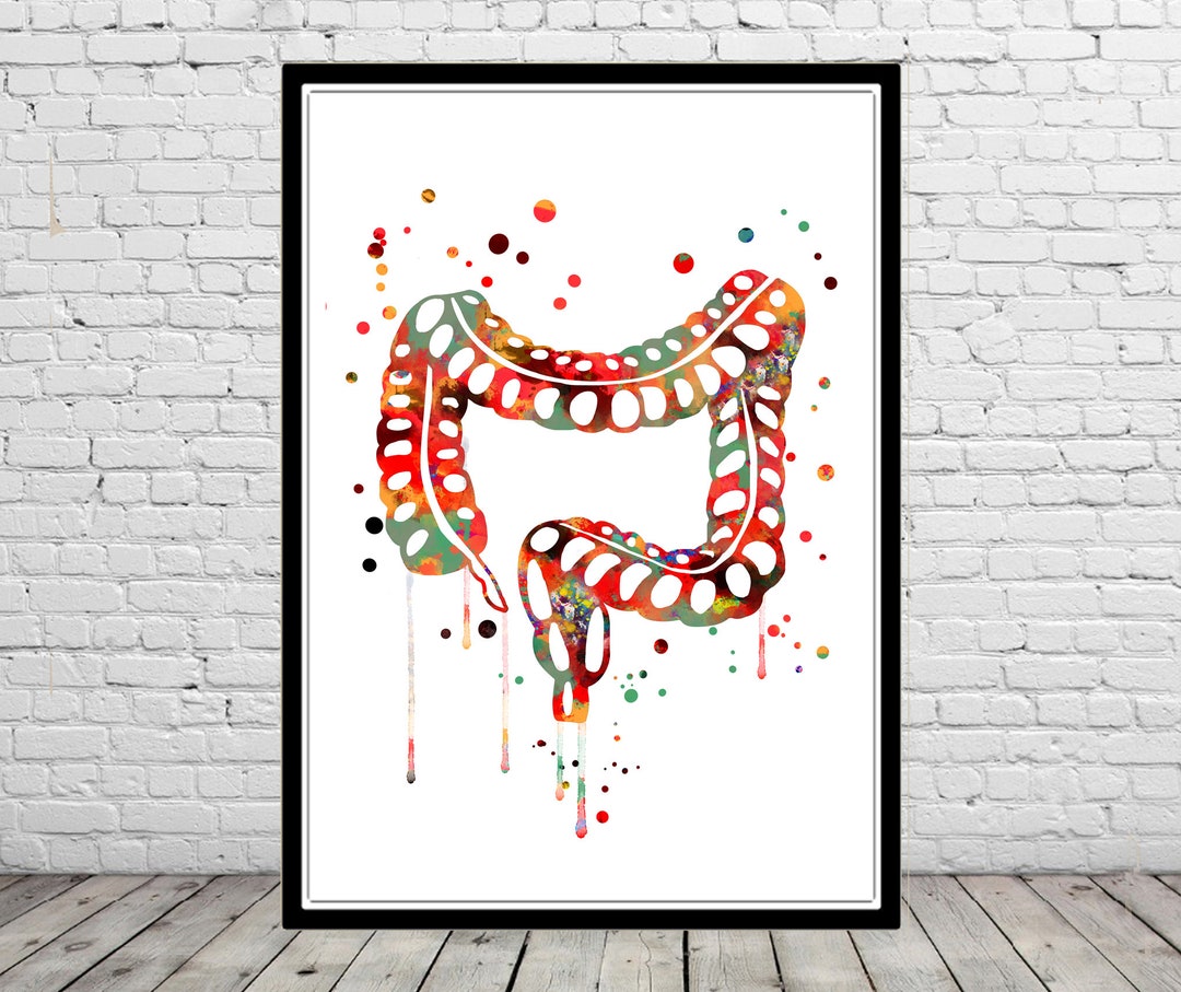 Lower Gastrointestinal Tract Wall Art Watercolor Print Digestive System ...
