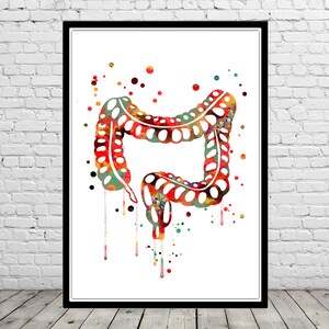 Lower Gastrointestinal Tract Wall Art Watercolor Print Digestive System ...