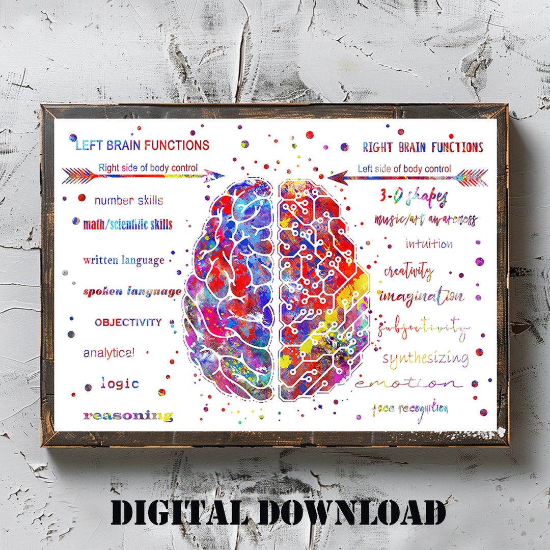 Left and Right Brain Function Brain Anatomy Watercolor Print Medical Art Abstract Brain Medical ...