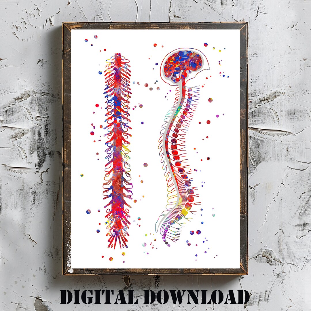 Brain With Spinal Cord Watercolor Print Medical Art Abstract Brain ...