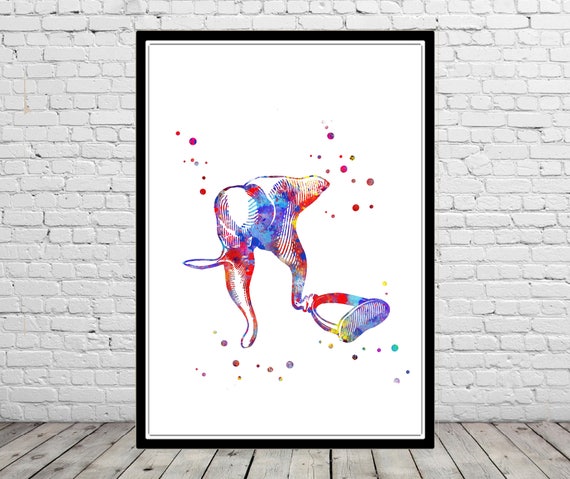 Anatomía del oído osículos osículos de acuarela oído medio | Etsy México