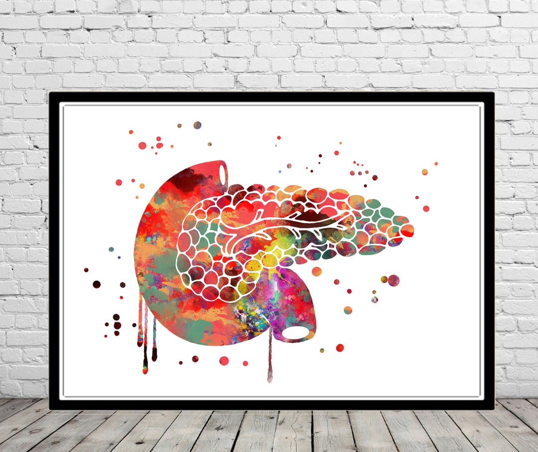 Pancreas Watercolor Print Medical Art Human Anatomy Internal Organs ...