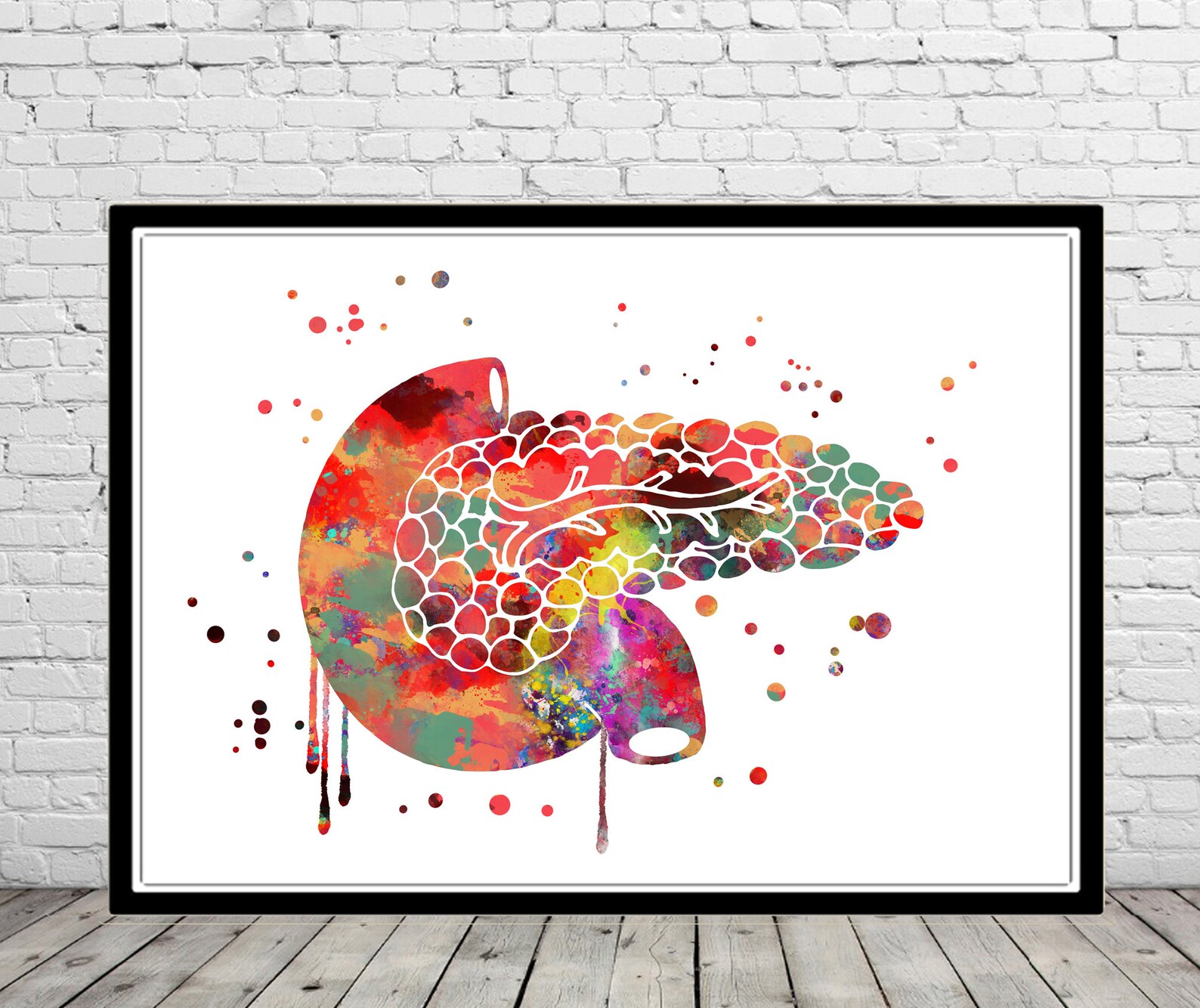 Pancreas Watercolor Print Medical Art Human Anatomy Internal - Etsy