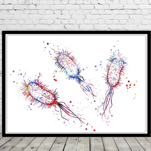 Bacteria Art - Etsy