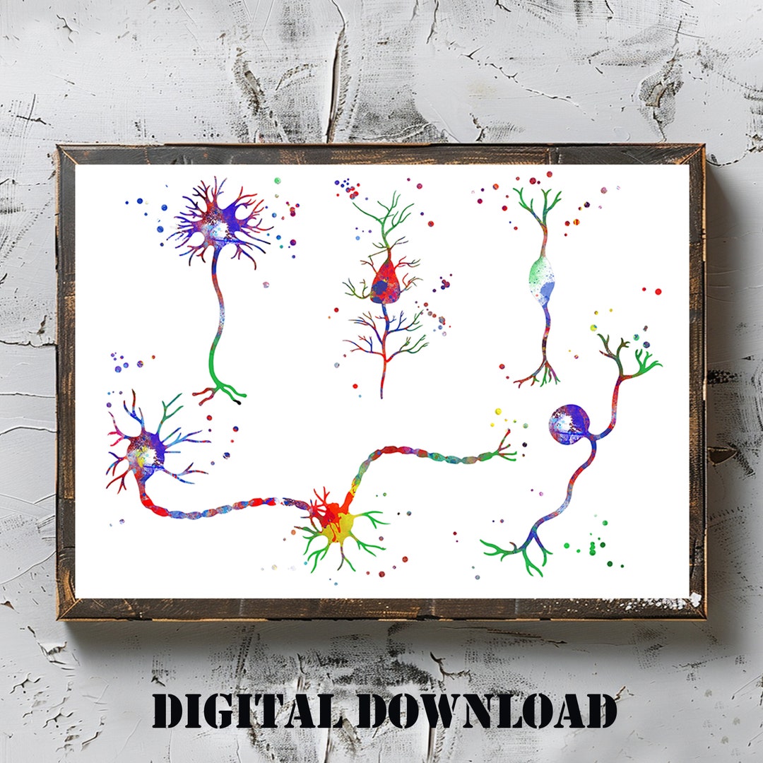 Neuron Cells Watercolor Print Medical Art Nerve Impulse Neurology Art ...
