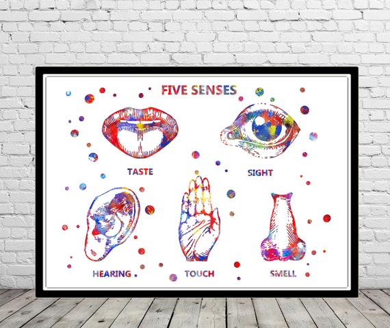 Five Senses Taste Sight Hearing Touch Smell Watercolor - Etsy