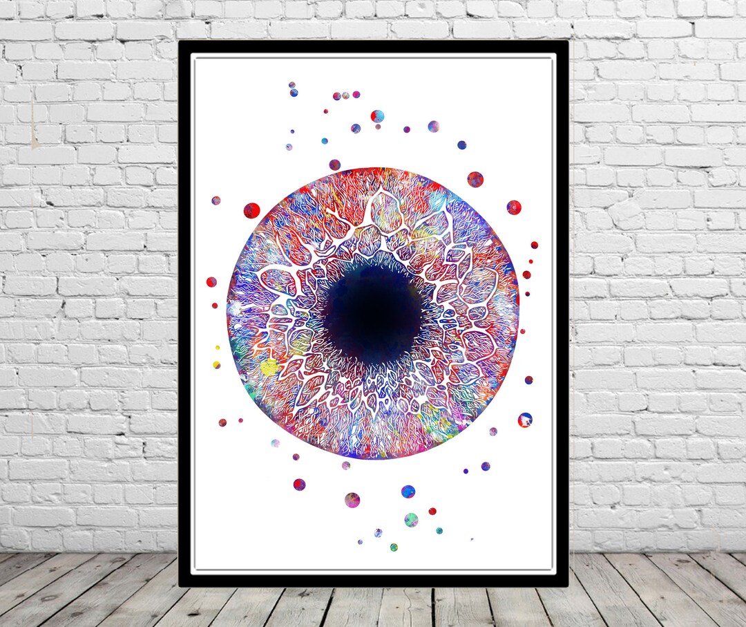 Human Eye Watercolor Print Iris Wall Art Human Eye Section - Etsy