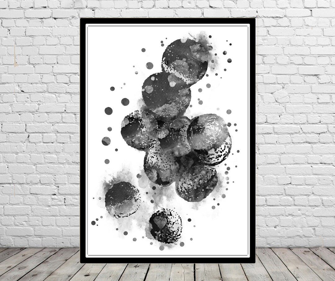 Staphylococcus Aureus Staphylococcus Staphylococcus Art - Etsy