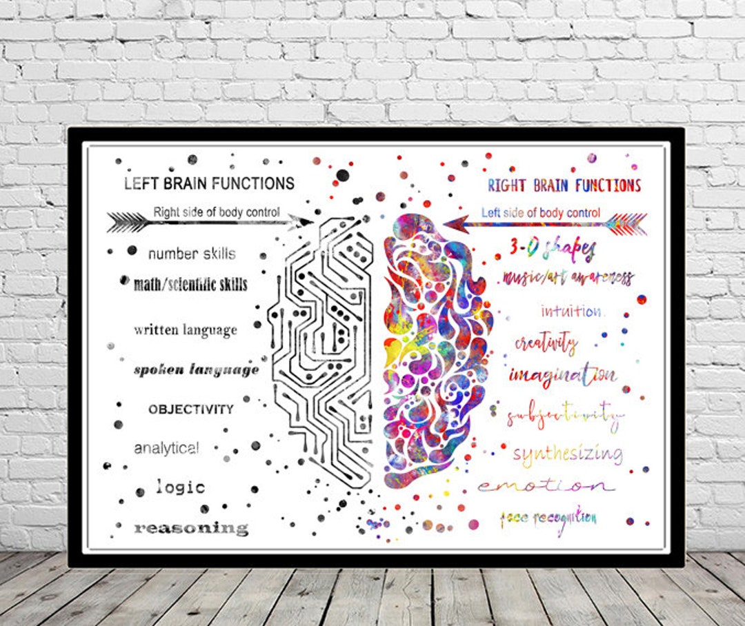 Left and Right Brain Function Watercolor Print Brain Function Wall Art ...