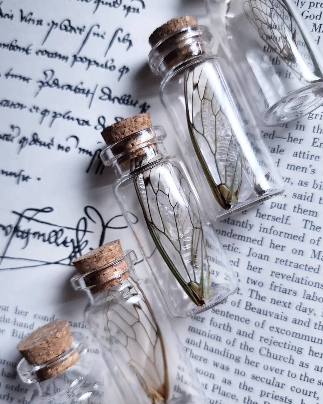 Cicada Wing Quartz Vials - Etsy