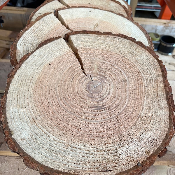 12 Inch Wood Slices - Etsy