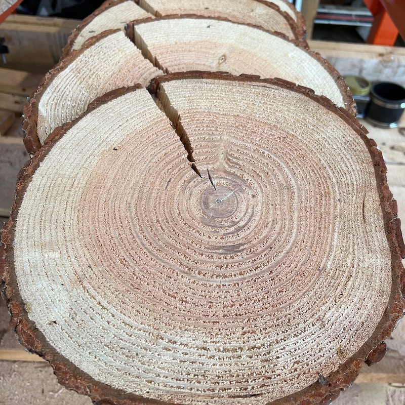 12 Inch Wood Slices - Etsy