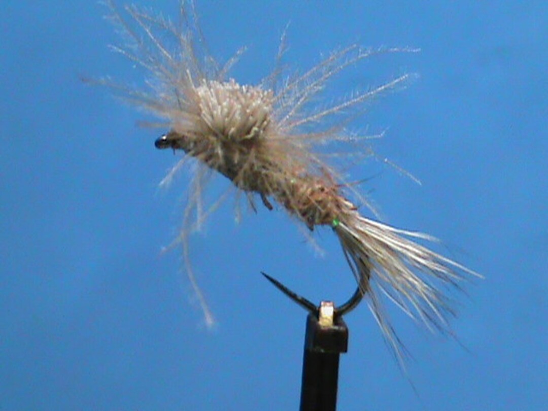 CDC Dry Nymph - Etsy