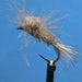 CDC Dry Nymph - Etsy