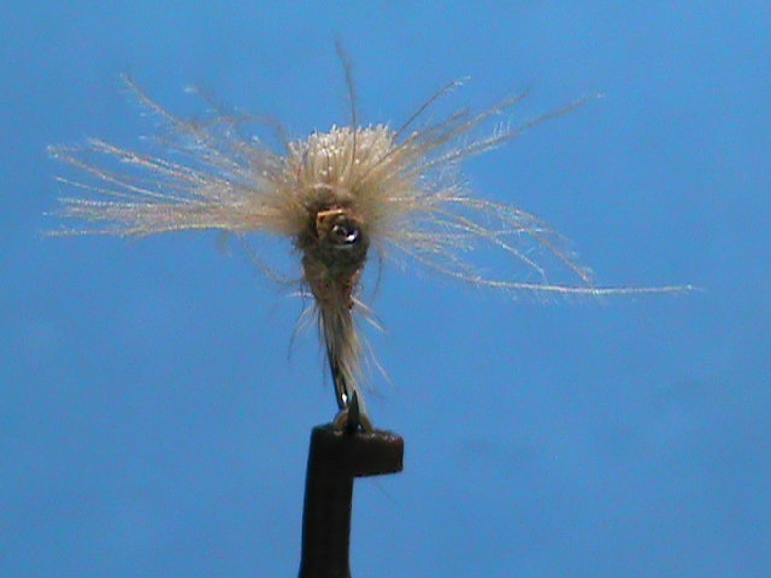 CDC Dry Nymph - Etsy
