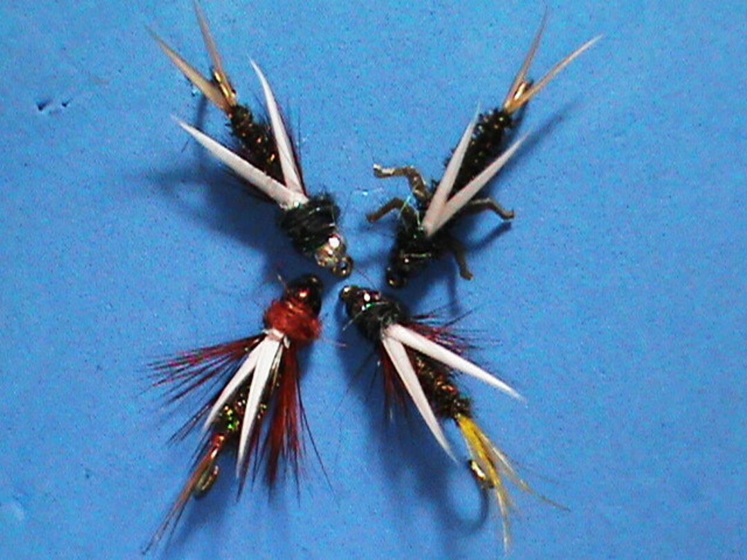 Prince Nymph Selection 1 Dozen - Etsy