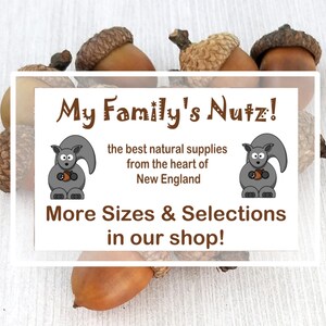 Large Natural Acorns - Real Acorns for Crafts - Rustic Fall Decor ...