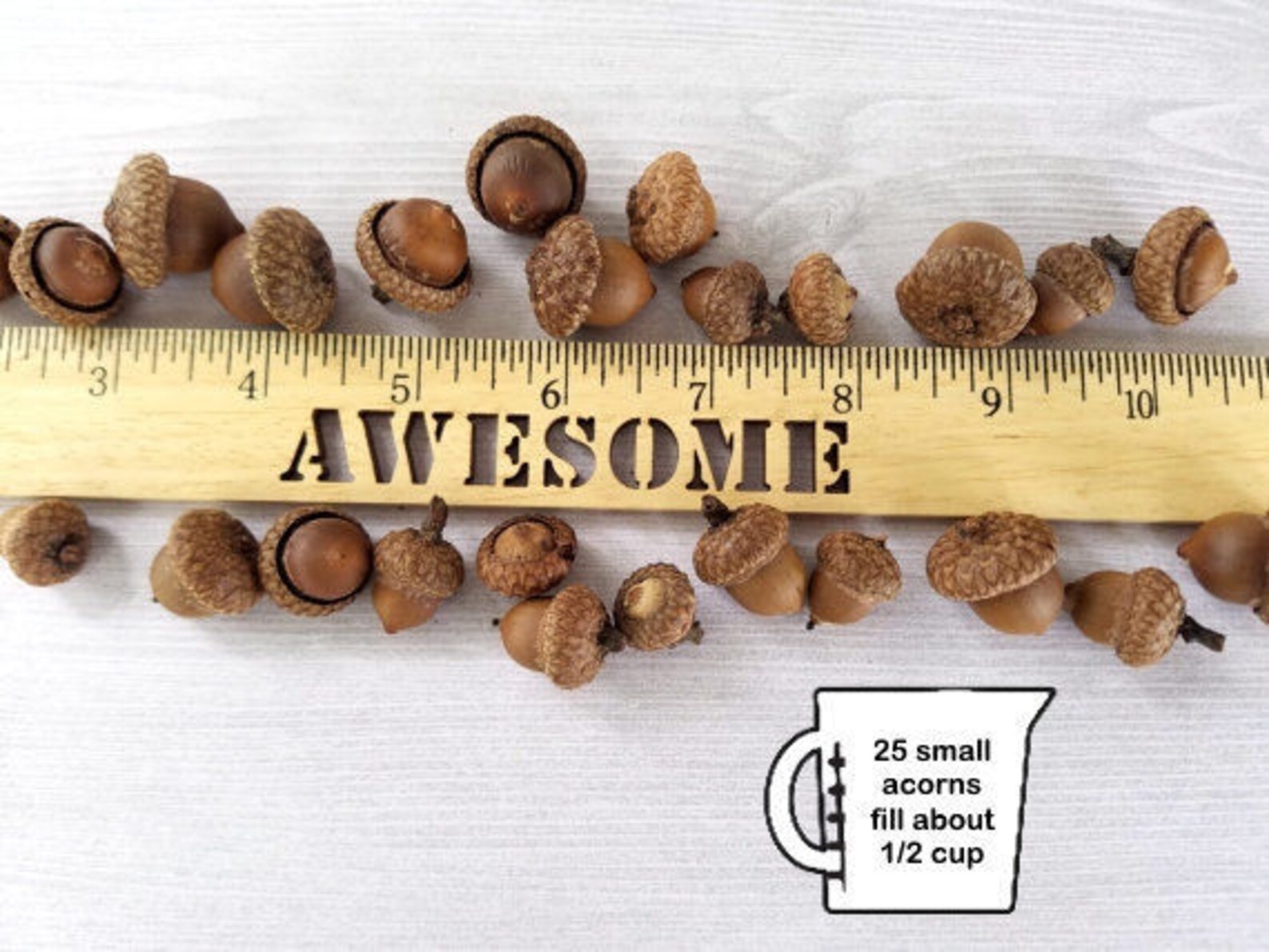 SMALL Real Acorns Natural Acorns Rustic Decor Thanksgiving Decor Table ...