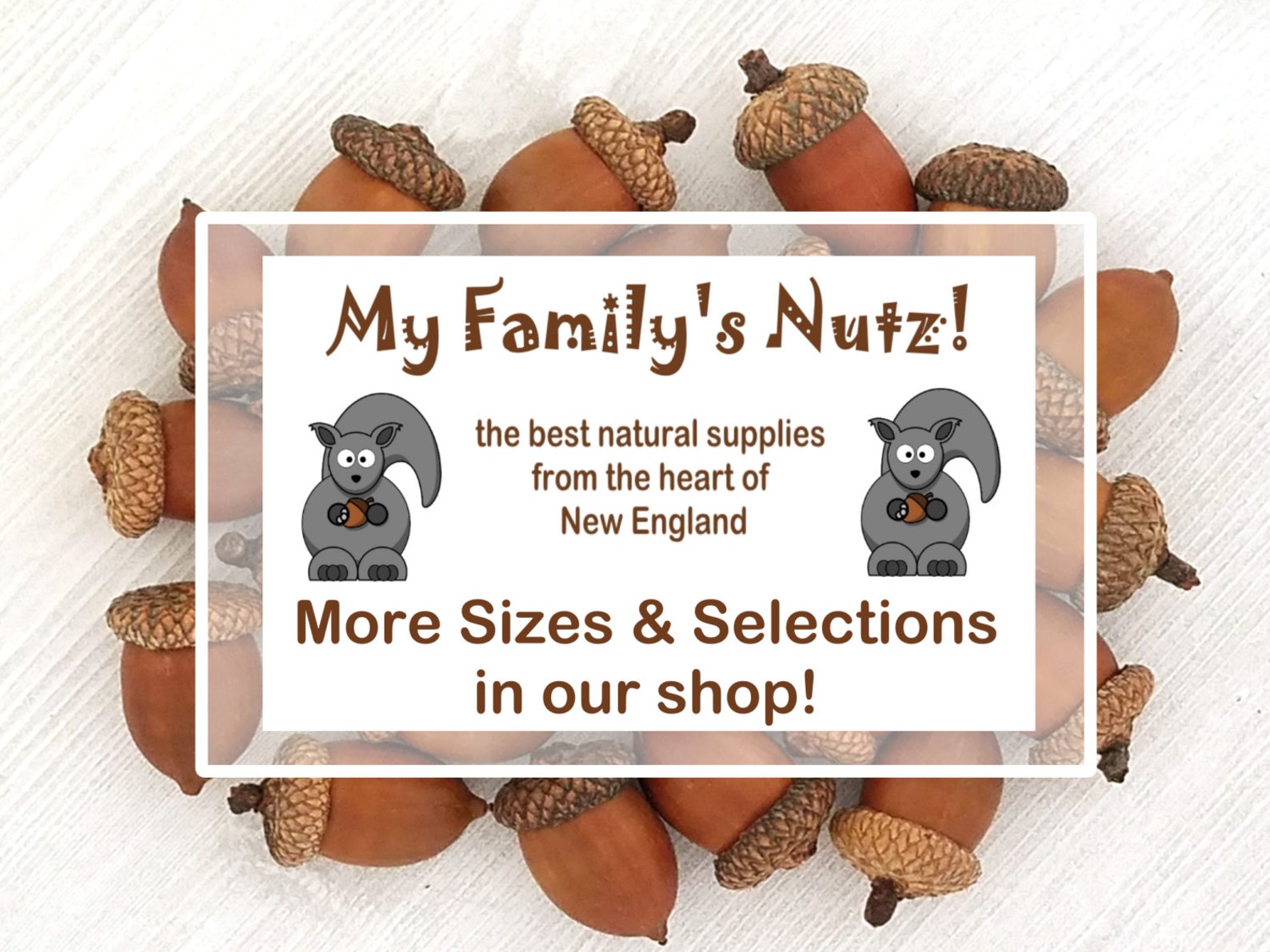 JUMBO Acorns Extra Large Acorns Natural Acorns Real Acorns - Etsy