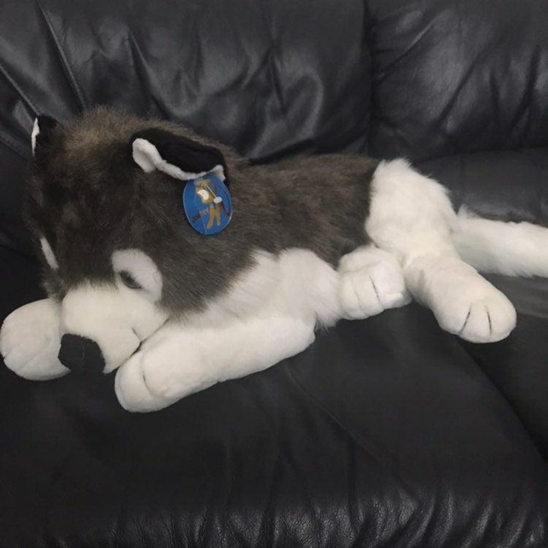Large Jumbo Grey Wolf Husky Dog Realistic Plush Stuffed Animal Soft Toy ...