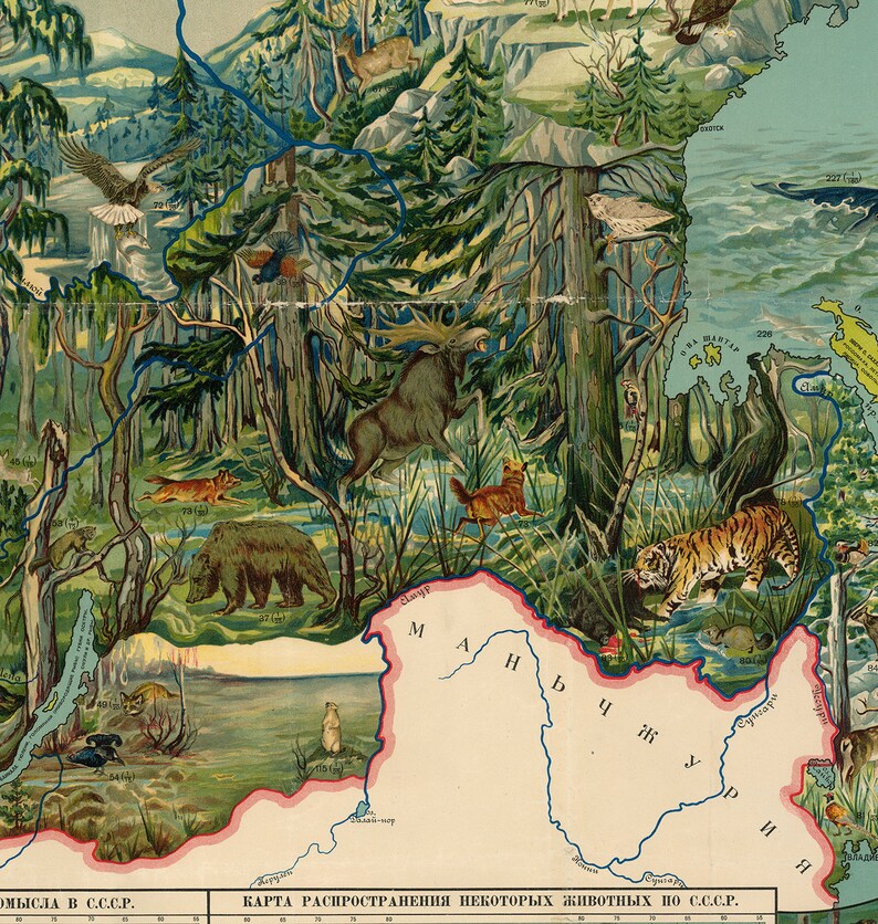 Zoogeographical Educational Map of the USSR 1928 . Vintage Reproduction ...