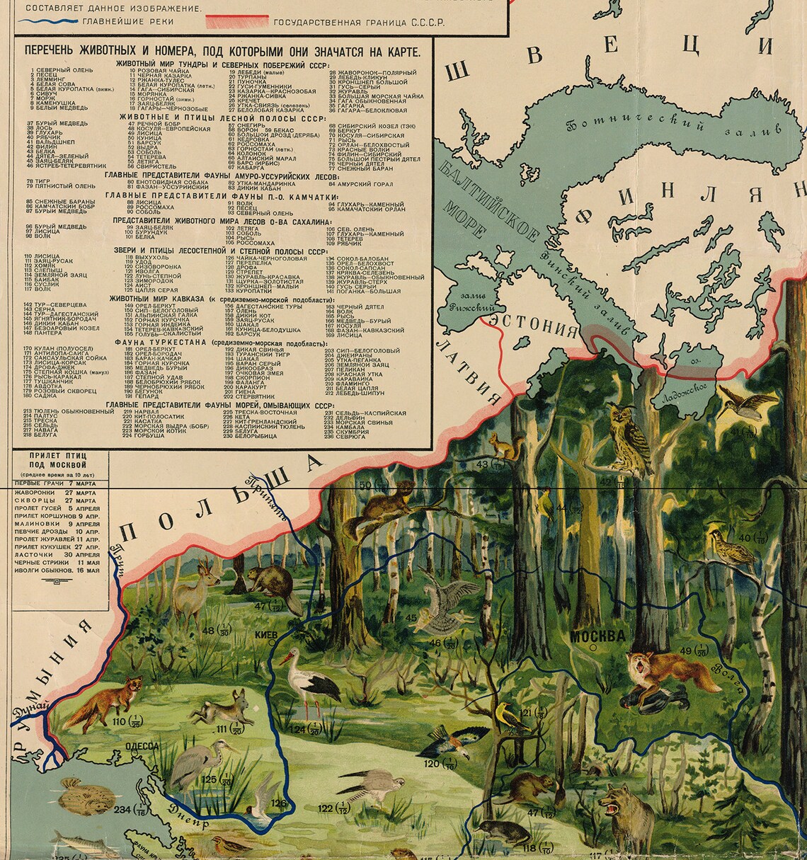 Zoogeographical Educational Map of the USSR 1928 . Vintage - Etsy