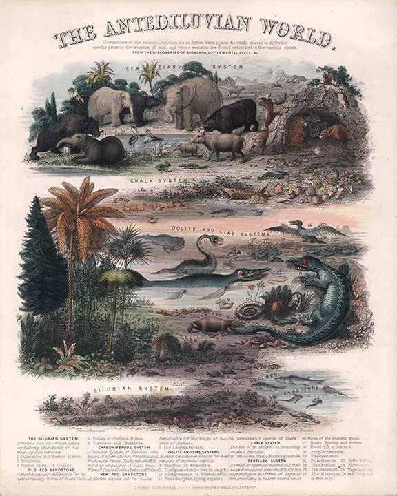 The Antediluvian World 1849. Vintage Home Deco Style Old Wall | Etsy