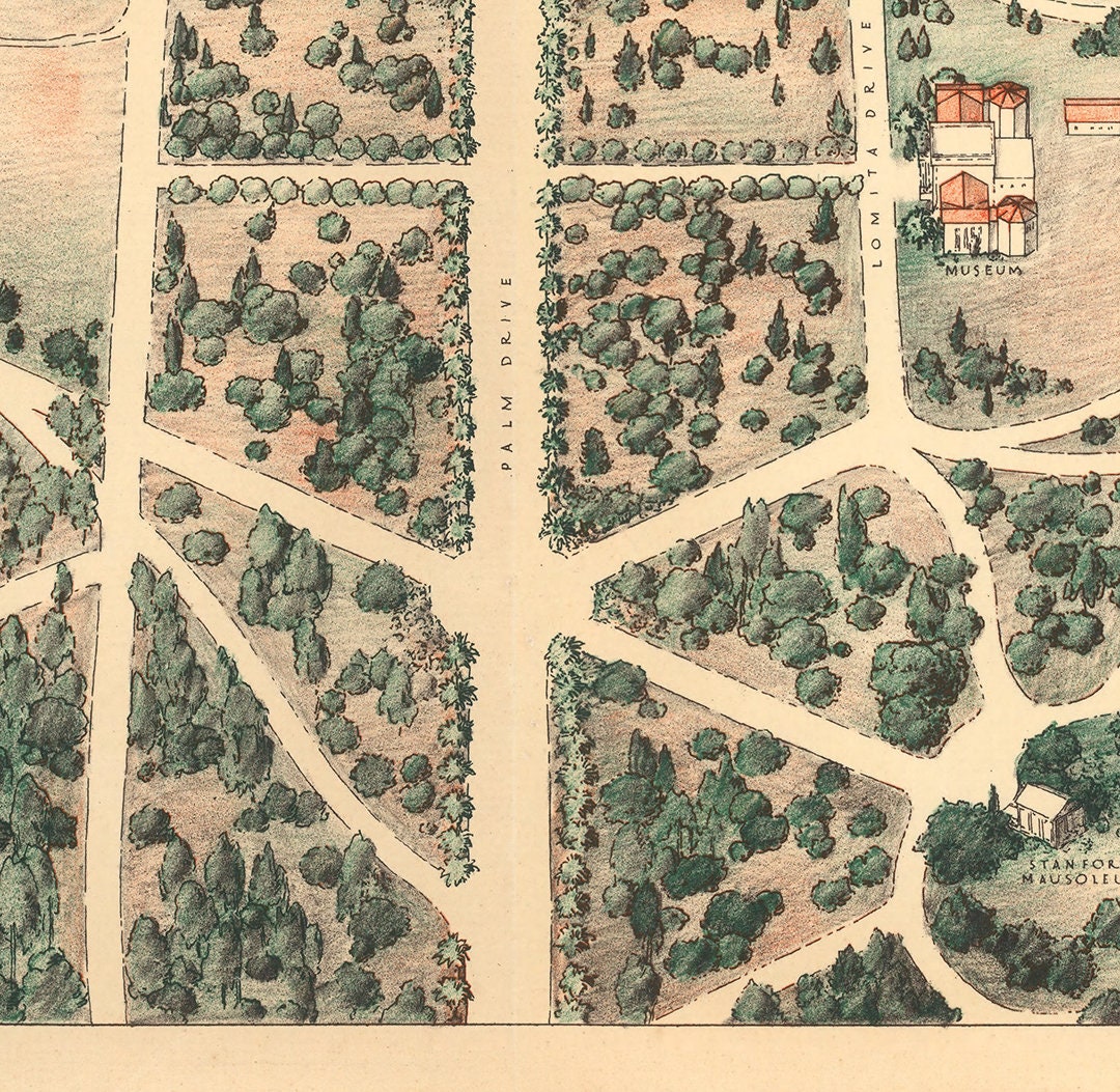 Map of Stanford University. Home Deco Style Old Reproduction. | Etsy