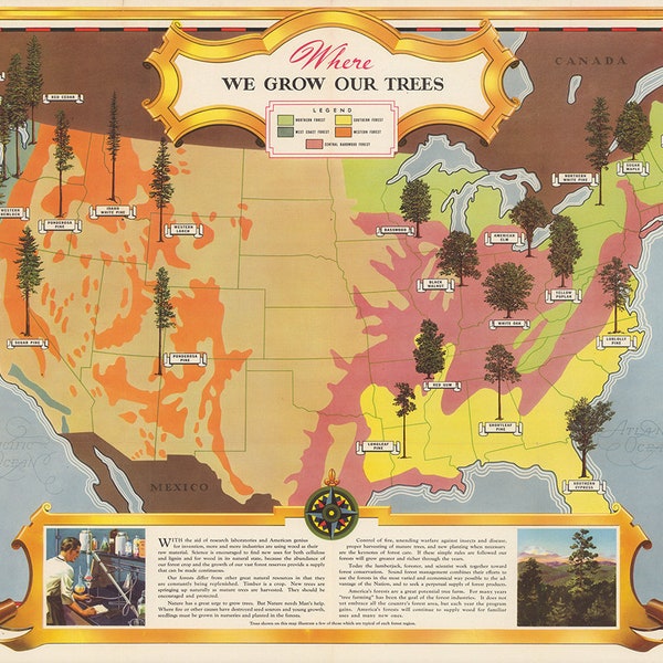 Map of Where We Grow - Etsy