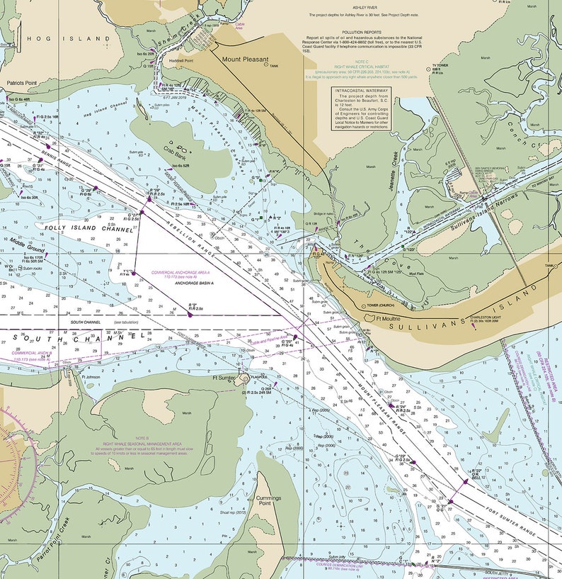 Charleston Harbor South Carolina Nautical Wall Art Reproduction NOAA ...