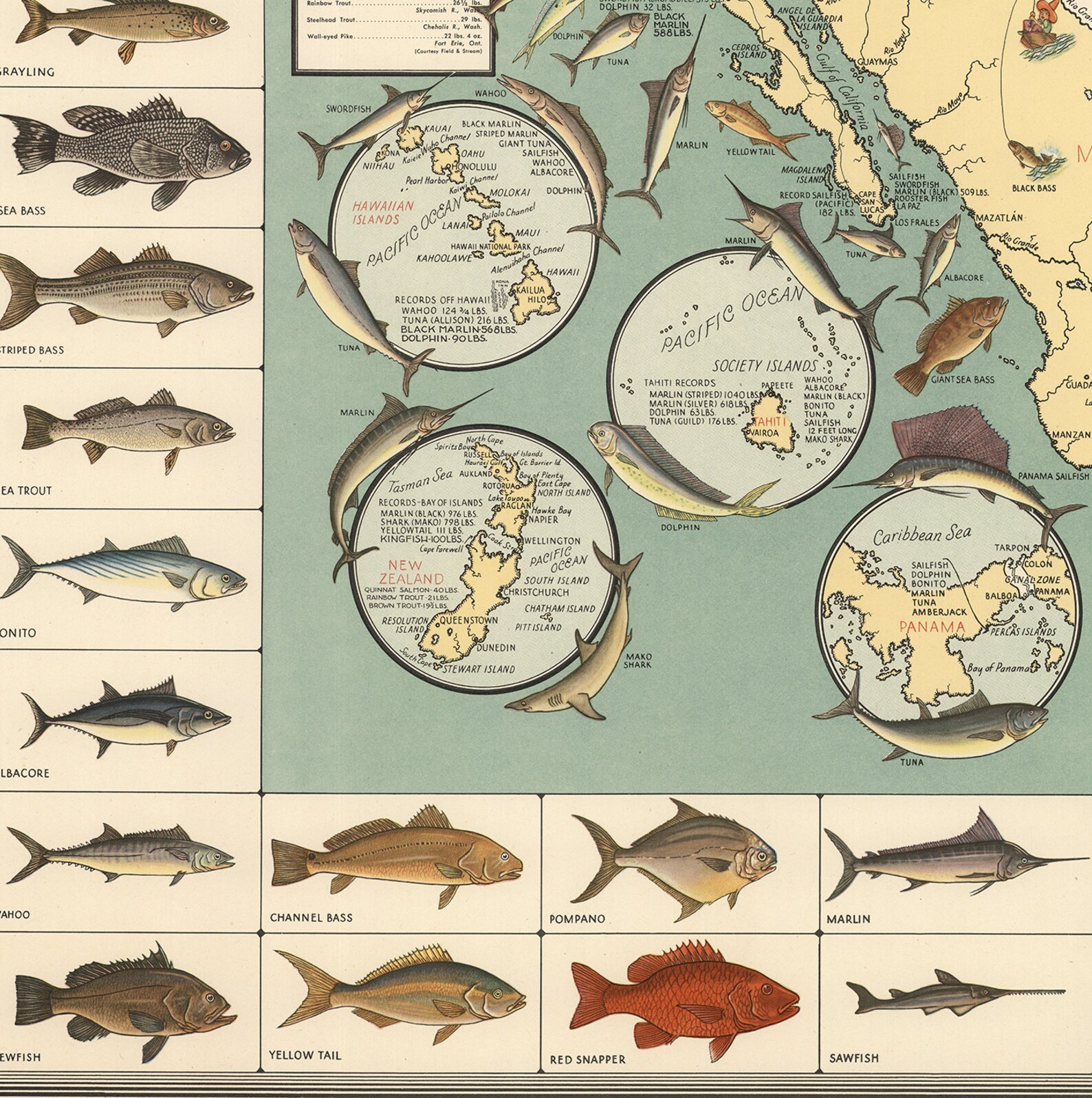 Big Game Fish Map Poster Print Vintage Fresh and Saltwater - Etsy