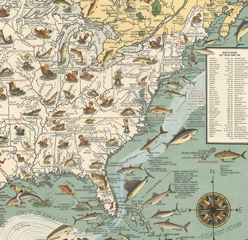 Big Game Fish Map Poster Print Vintage Fresh and Saltwater - Etsy