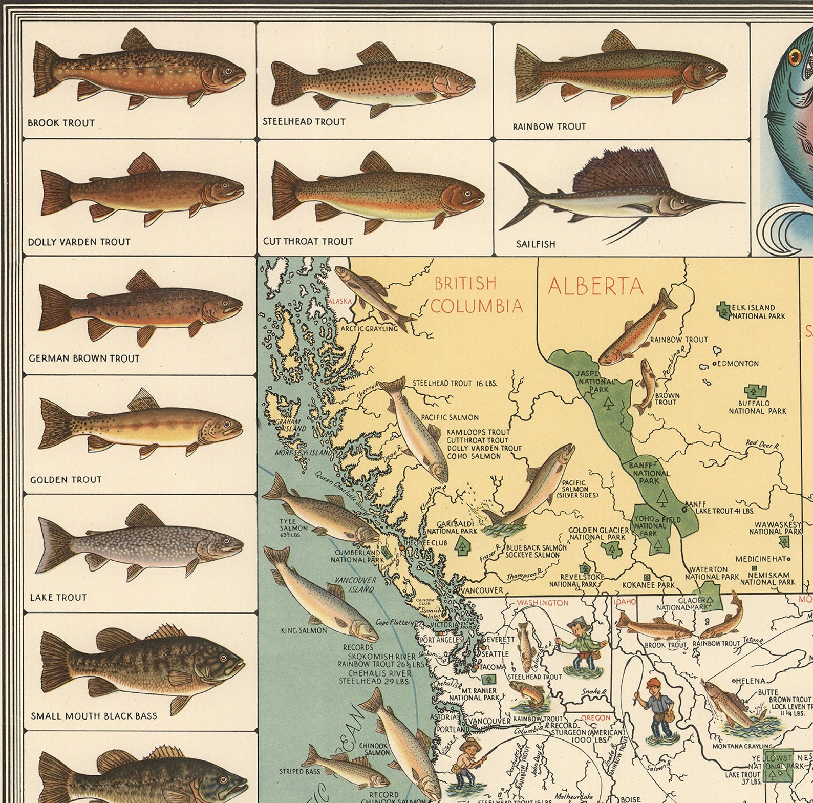Big Game Fish Map Poster Print Vintage Fresh and Saltwater - Etsy