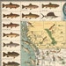 Big Game Fish Map Poster Print Vintage Fresh and Saltwater - Etsy