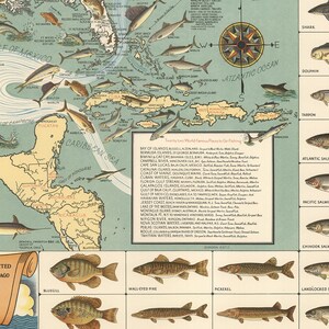 Big Game Fish Map Poster Print Vintage Fresh and Saltwater Fish Chart ...