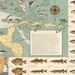 Big Game Fish Map Poster Print Vintage Fresh and Saltwater - Etsy